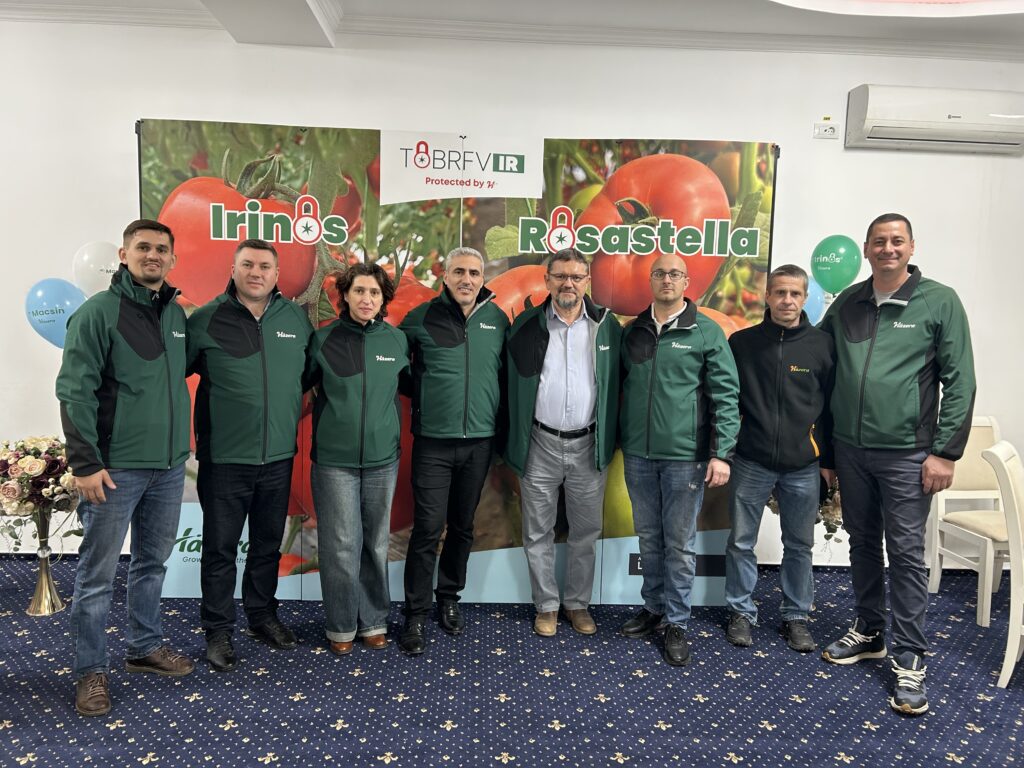 Breaking new ground: Hazera brings ToBRFV-resistant tomatoes to ...